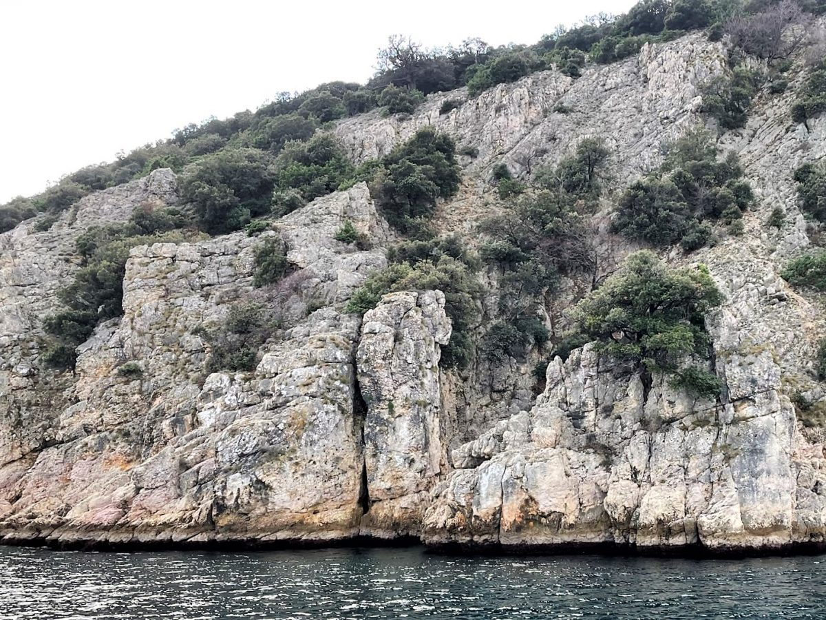 MareMundi forscht in der Nordadria. Hilfst Du mit? – MareMundi